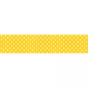 CREATIVE TEACHING PRESS The Five Senses Border Brite CTP1495 ...