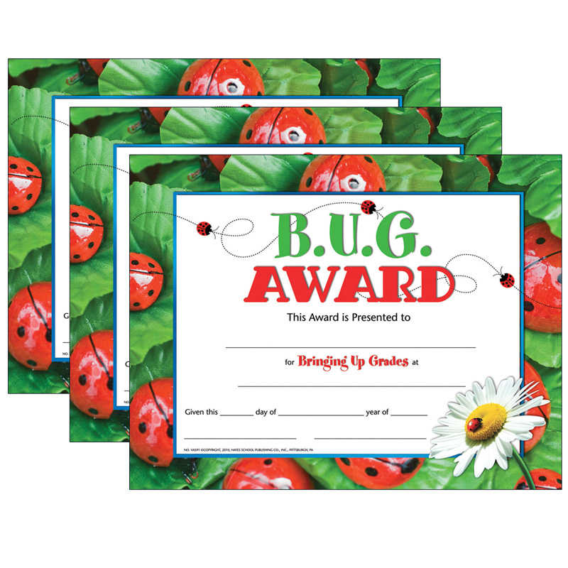 TeachersParadise - Hayes B.U.G. Award, 30 Per Pack, 3 Packs - H-VA591-3