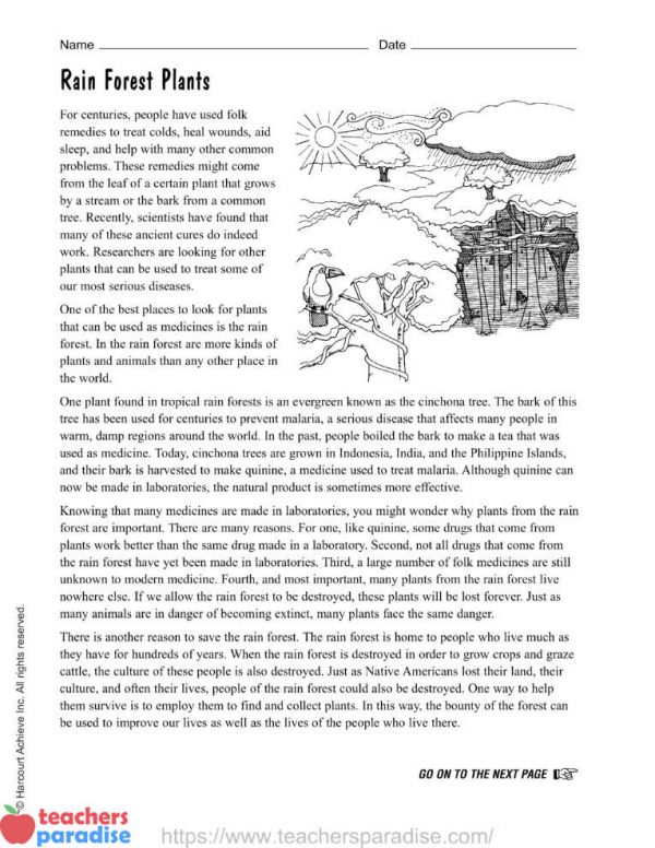 Rain Forest - TeachersParadise