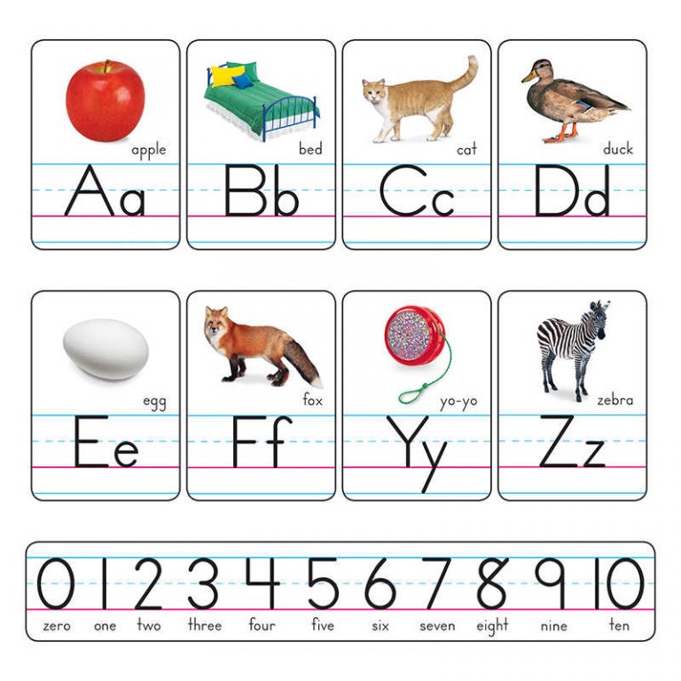 TeachersParadise - TREND Photo Alphabet Cards Zaner-Bloser Manuscript ...